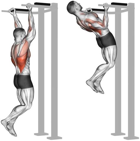 How To Do The Reverse Grip Pull Up Exercise Technique Tips Benefits Variations Muscles