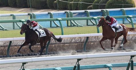 パドマ逃げ切り初陣v 加藤祥太は今年jra初勝利「最後までばてずに走ってくれた」／中山5r 2歳馬特集 競馬写真ニュース 日刊スポーツ