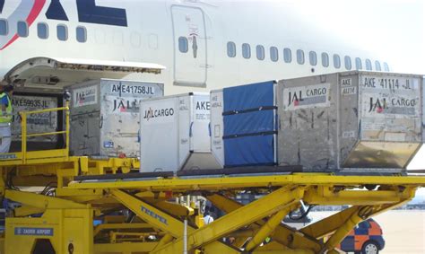 Publican Decreto Que Cierra A Las Aerolíneas De Carga El Aicm Gaceta