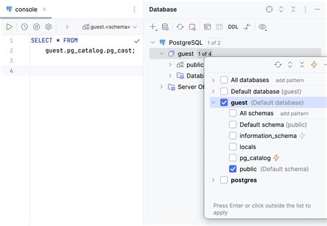 Pre Introspected Objects From System Catalogs PyCharm Documentation