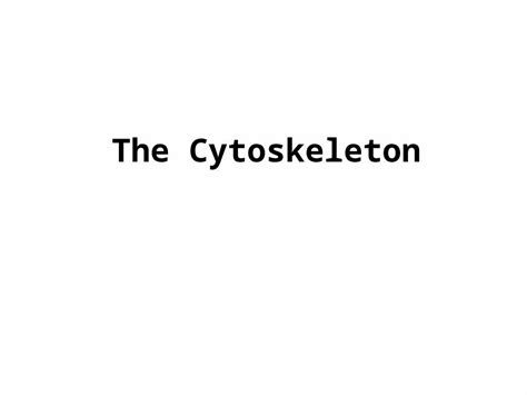 Ppt The Cytoskeleton Intermediate Filaments 8 10 Nm In Diameter Four