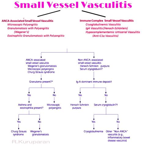 Autoimmune Vasculitis Types