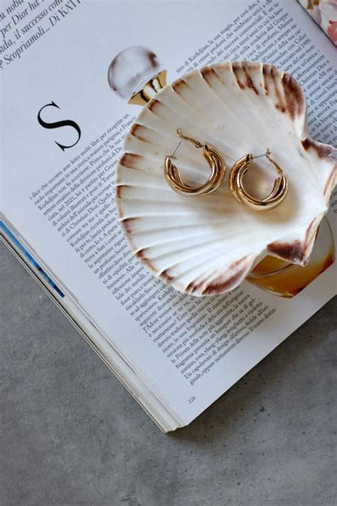 개인 스타일 금 귀걸이 금 보석 껍데기 껍질 모티브 다재다능한 작품 디자인 럭셔리 매우 복잡한 매혹적인 메탈릭 미니멀리스트 쥬얼리 보석 전시 보석