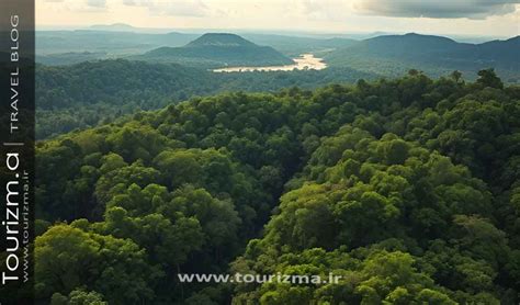 جنگل آمازون و عجایب سفر به جهنم سبز