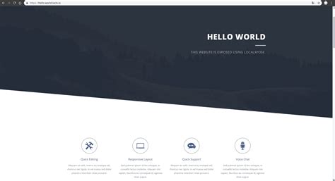 Expose Local Web Server Localxpose Docs