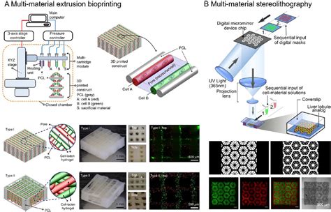 Bioprinting The Cancer Microenvironment Pmc