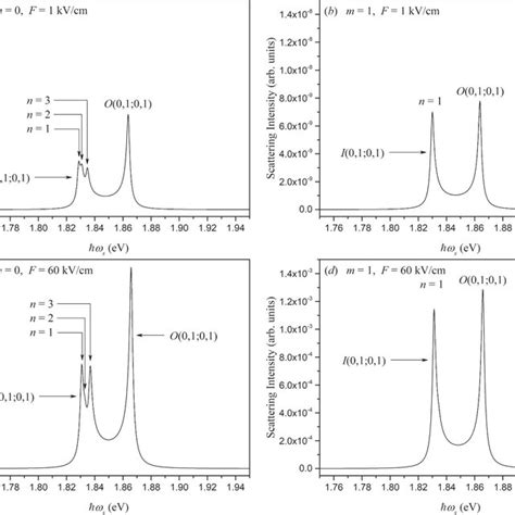 Differential Cross Section For A One Phonon Resonant Raman Scattering