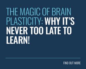 What Is The Forgetting Curve Definition History Key Strategies 2025