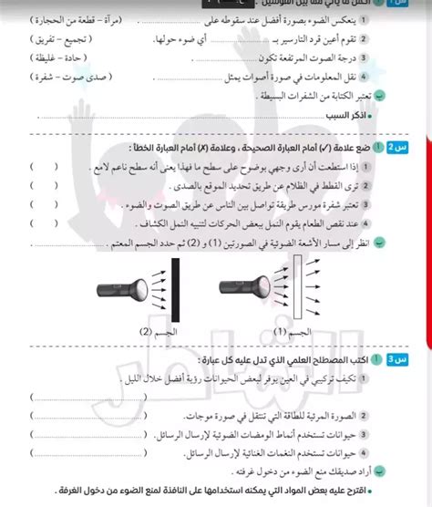 نماذج امتحانات علوم للصف الرابع الابتدائي شهر نوفمبر شبابيك