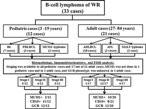 B Cell Lymphomas Involving Waldeyers Ring Characterized By Distinctive
