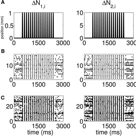 Standard Raster Plots Of The Spiking Activity Of Each Neuron In A