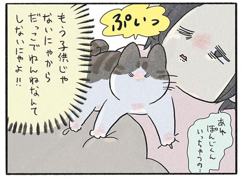 飼い主に抱きかかえられて眠る猫 しかししばらくすると 可愛すぎるこれは天使ニフティニュース