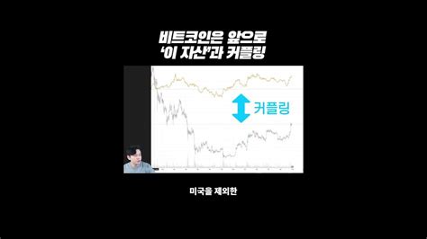 비트코인 가격은 금 가격을 보시면 됩니다 Youtube