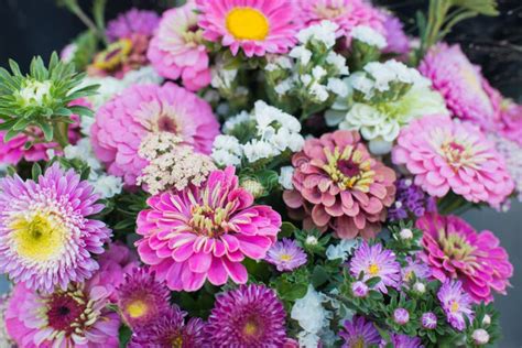 Assorted Bouquet Of Flowers In Pink And White Stock Image Image Of