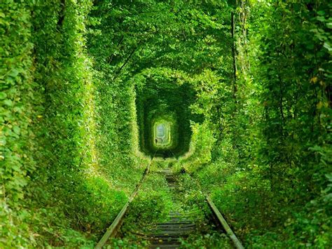 El túnel del amor el preferido de los enamorados
