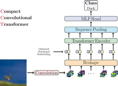 Figure 1 From Escaping The Big Data Paradigm With Compact Transformers