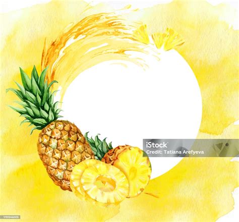 파인애플 절반 및 슬라이스 익은 파인애플 파인애플 반지 및 육즙의 흐름 노란색 열대 과일의 스케치 노란색 배경에 고립 된 음식 그림과 함께 수채화 손으로 그린 둥근 프레임