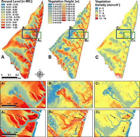 Maps Of A Ground Level B Vegetation Height C Vegetation