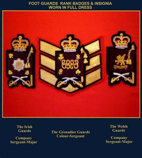 Csm Colour Sgt Foot Guards Household Divison Military Ranks Military