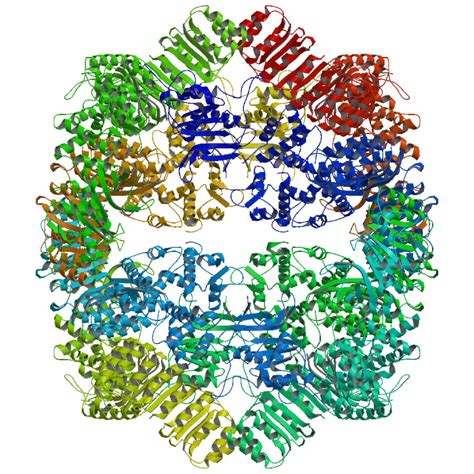 8swf1 Swiss Model Template Library