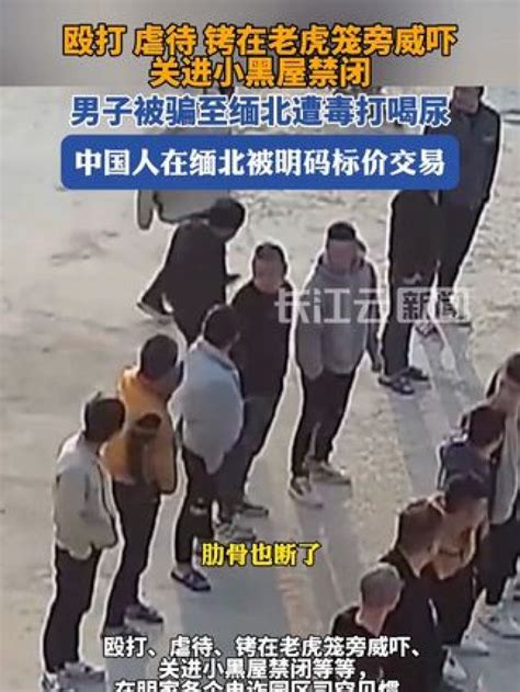 男子被骗至缅北遭毒打喝尿，中国人在缅北被明码标价交易高清1080p在线观看平台腾讯视频