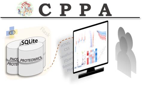 Program Document