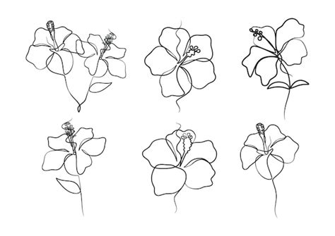 Premium Vector Continuous One Line Art Drawing Of Beauty Hibiscus Flower