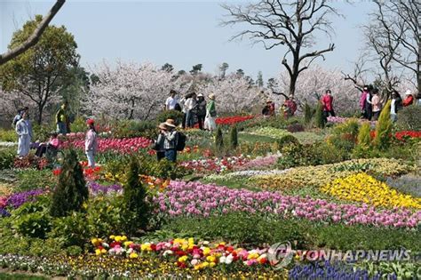 연일 흥행몰이순천정원박람회 관람객 23일만에 200만명 글로벌리언