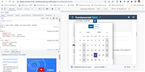 Date Time Picker Accessibility Issues Issue SAP Fundamental Ngx GitHub