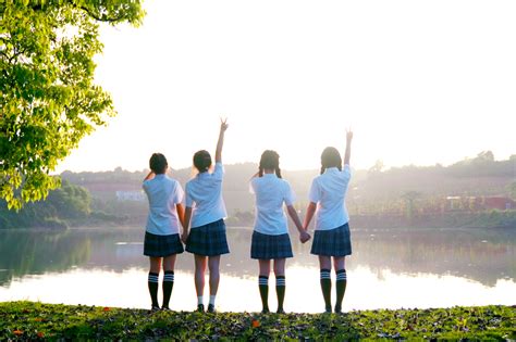 2024广东工业大学各学科排名？广东工业大学学科评估一览表 大考100