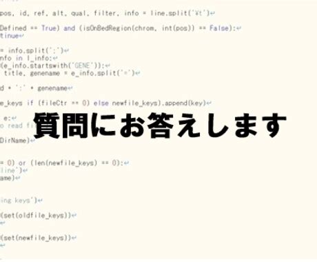 プログラミング関連の質問にお答えします 対象としては初心者初級者の方を想定しています プログラミングレッスンアドバイス ココナラ