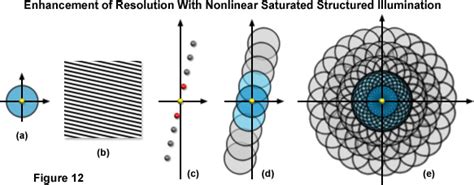 Zeiss Microscopy Online Campus Superresolution Structured