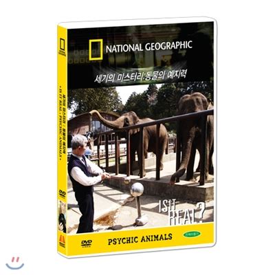 중고샵 내셔널지오그래픽 동물의 예지력 Psychic Animals DVD 예스24