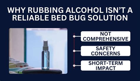 Does Alcohol Kill Bed Bugs Heres What To Know Lajaunies Pest Control
