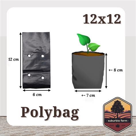 Jual Polybag Tanaman 12x12 Plastik Polibag Eceran Perlembar Polibeg