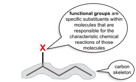 Functional Groups Flashcards Quizlet Functional Groups Flashcards Quizlet