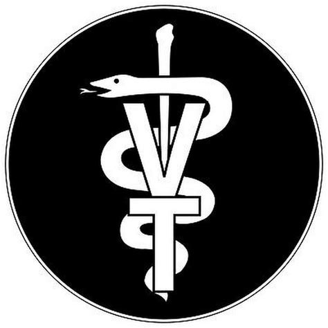 Vet Tech School Youtube