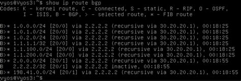 M Border Gateway Protocol Data Networks