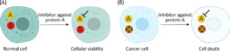 general representation of synthetic lethal interactions as a cancer