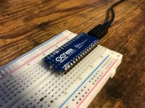 Arduino Nano Every Breadboard Petals In