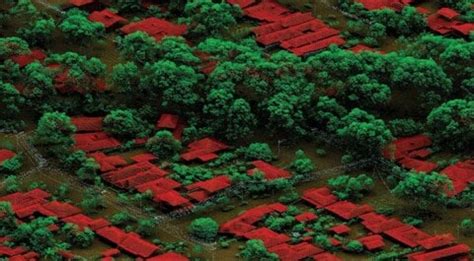 How To Measure Tree Canopy Coverage And Why Its So Important Council