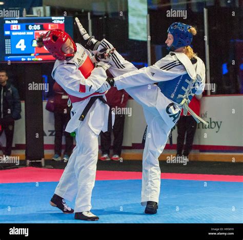 Wtf Taekwondo Sparring