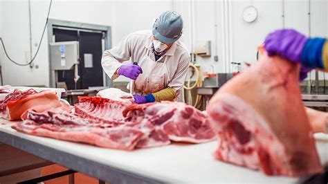 5 Things I Learned From Touring A Beef Processing Plant Agdaily