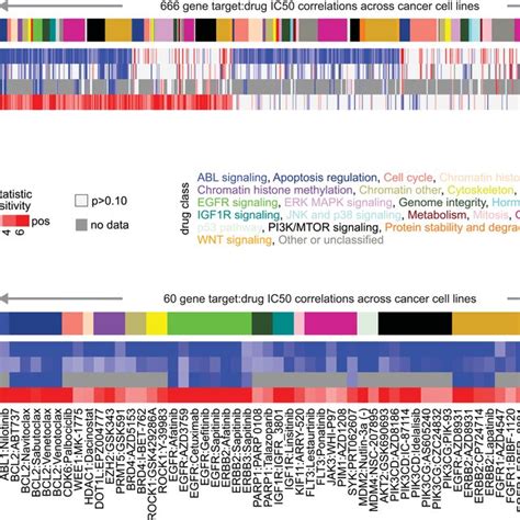 Schematic Depiction Of Mass Spectrometry Ms‐based Approach Utilized