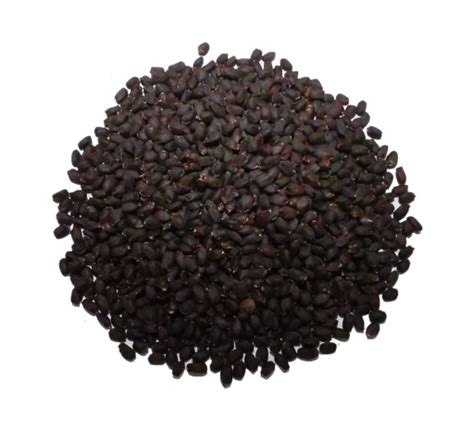 Bazylia pospolita zwyczajna właściwa nasiona 500g G6U9g500 Cena