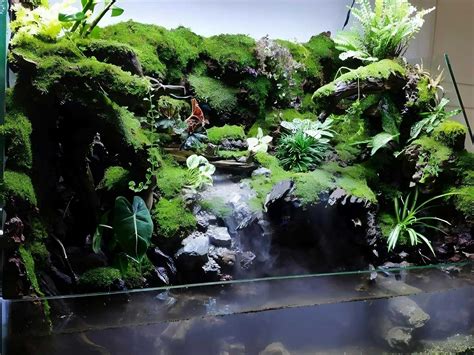 Paludarium