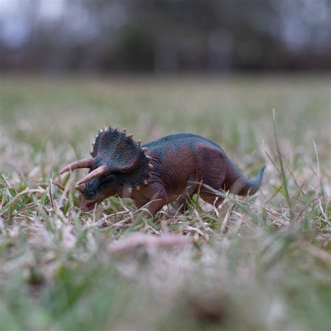 Triceratops Toy Realistic Dinosaur Figurine From Safari Ltd® Safari