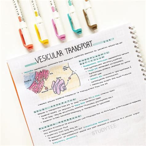 Therese • 🇳🇴 Studytee • Instagram Photos And Videos Notes