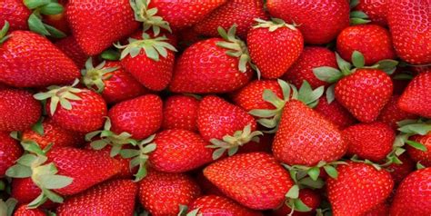 Beneficios De Las Fresas Para El Cuidado De La Piel 800Noticias