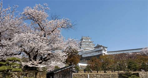 【2024日本自由行规划】日本旅游新手攻略大全！机票住宿、交通方式、行程安排总整理 乐吃购！日本